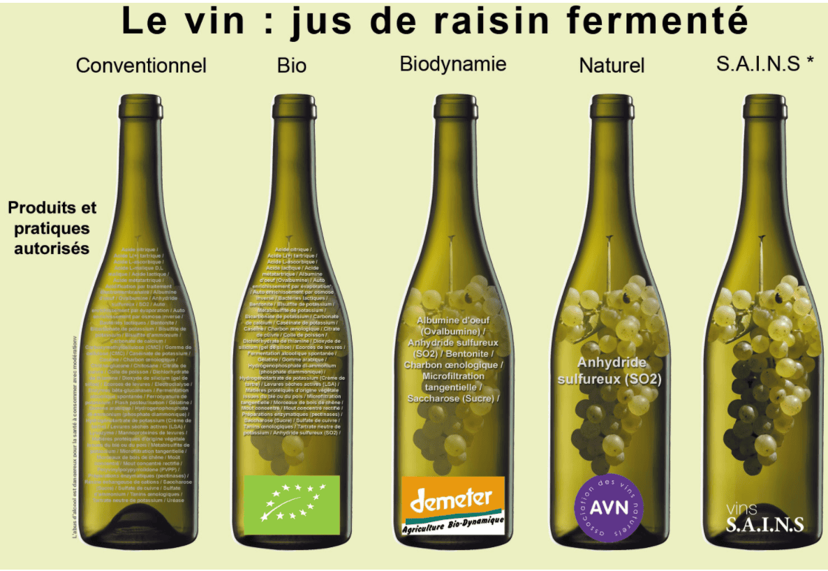 How the French Drink Wine - Coucou French Classes