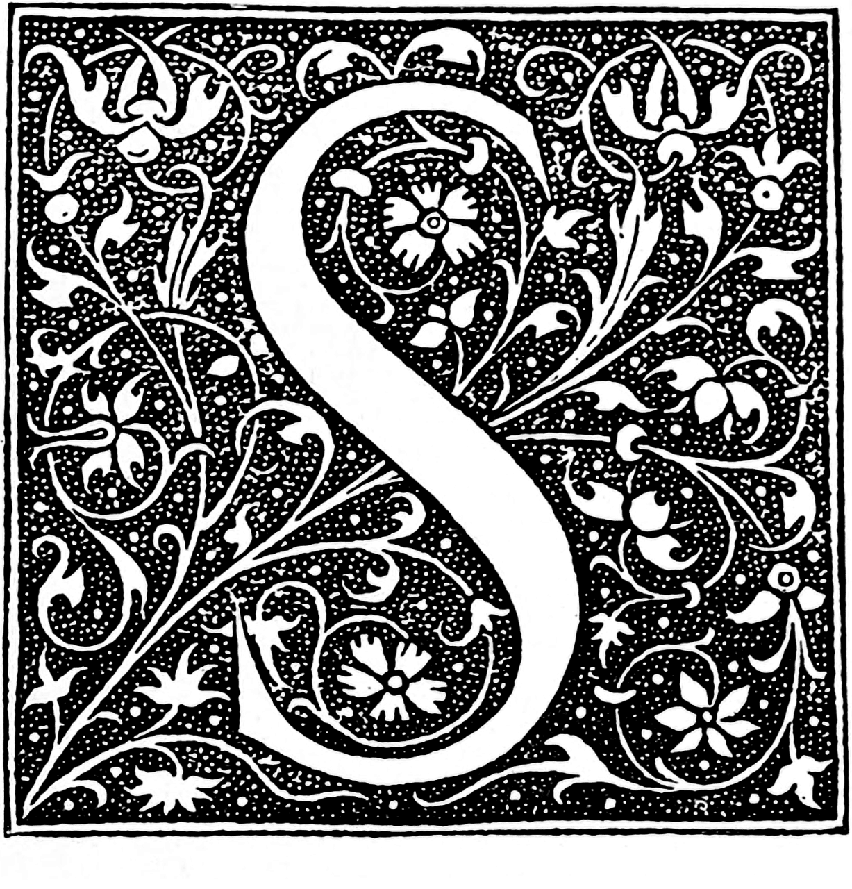 The Coucou French Slang Alphabet (Part 2) - Coucou French Classes